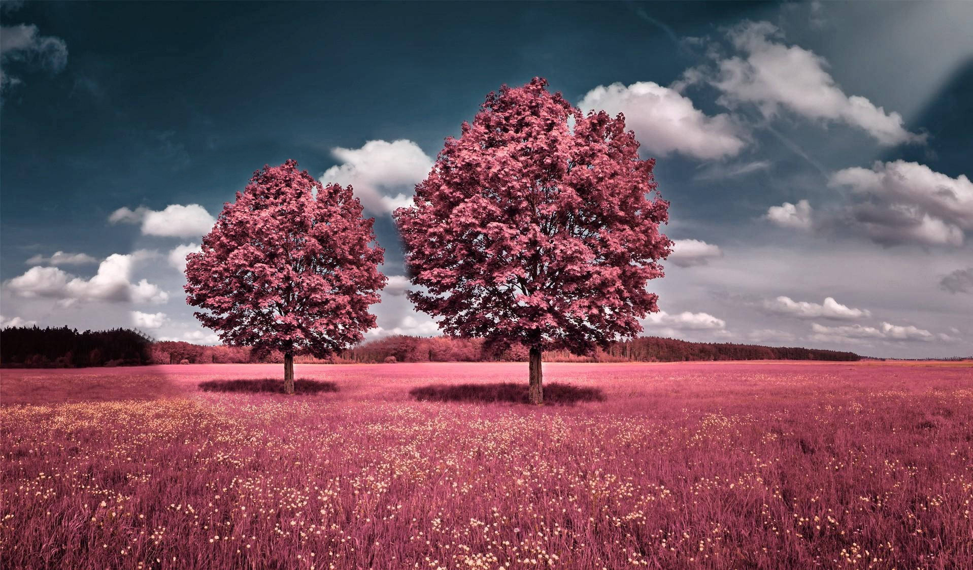 Computer Desktop Vector Wallpaper Backround Image designed by Sushil ...